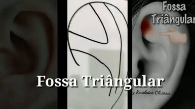 FOSSA TRIANGULAR NA AURICULOTERAPIA - Fisioterapia Respiratória
