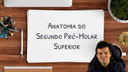 Anatomia do Segundo Pré-Molar Superior - Resumo de Anatomia Dental ...