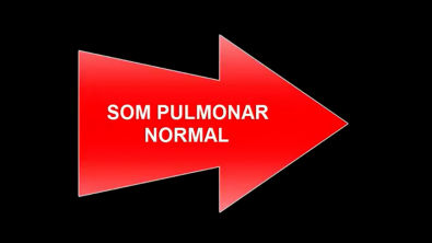Ausculta Pulmonar ( roncos, sibilos, estertores ) ruídos adventício ...