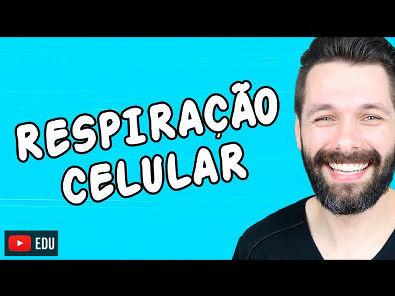 Respiração Celular Aula Completa Biologia Com Samuel Cunha