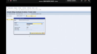 Cluster View - Curso Sap