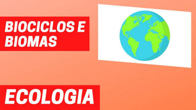 Biociclos TALASSOCICLO LIMNOCICLO E EPINOCICLO | ANIMAÇÃO - Ecologia e ...