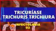 TRICURÍASE - TRICHURIS TRICHIURA - PARASITOLOGIA| INFECTOLOGIA ...