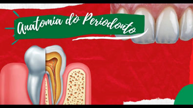 (PERIODONTIA) Anatomia do Periodonto - Periodontia