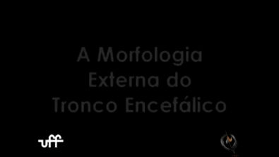 VIDEOAULAS UFF BR NEUROANATOMIA MORFOLOGIA EXTERNA DO TRONCO ENCEF LICO PARTE 1 PORTAL DE AULAS ...