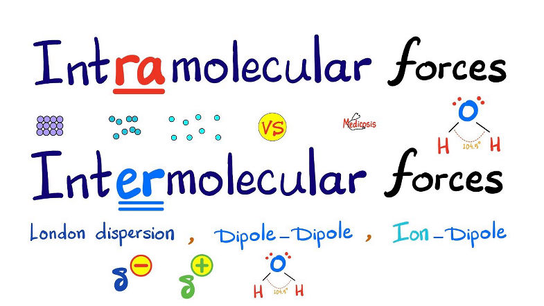 Grátis: Intramolecular vs. Intermolecular forces - London Dispersion ...