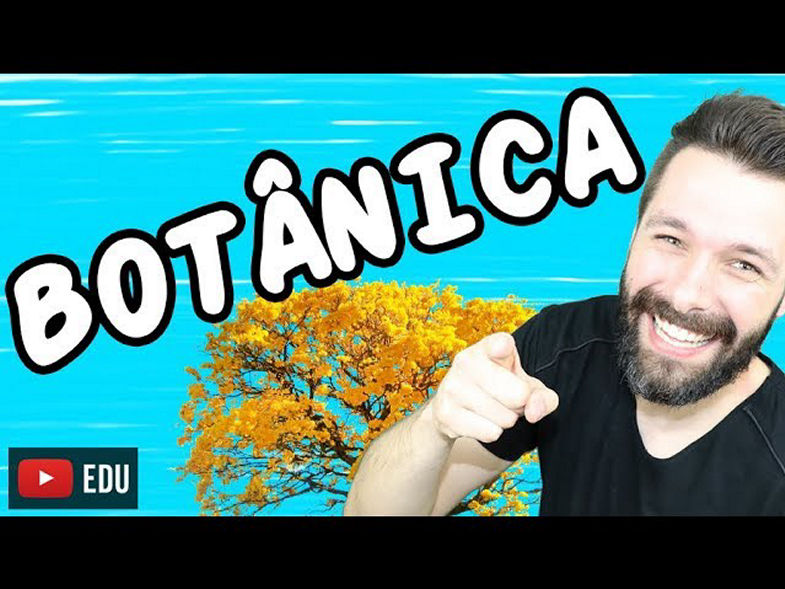 Grátis: REINO VEGETAL - INTRODUÇÃO À BOTÂNICA | Briófitas ...