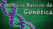 Genética Princípios Básicos - Genótipo Fenótipo Gene Dominante e ...