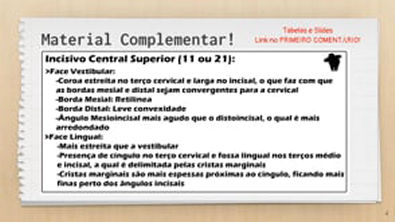 Anatomia do Segundo Molar Inferior - Aula de Anatomia Dental - Dente 37 ...