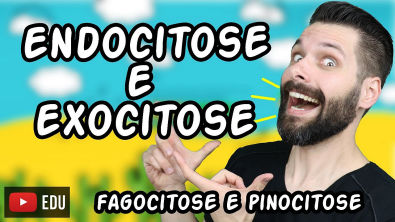 Endocitose (Fagocitose e Pinocitose) e Exocitose - Transporte por ...